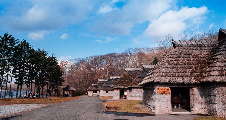 Japan Weather in November 2023: Best Autumn Month, Travel Tips