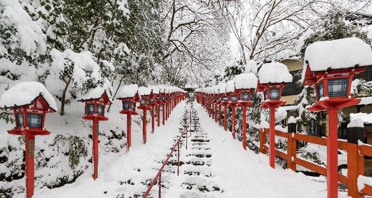 Japan Weather in January 2024: Quiet Winter Month,Travel Tips for First ...