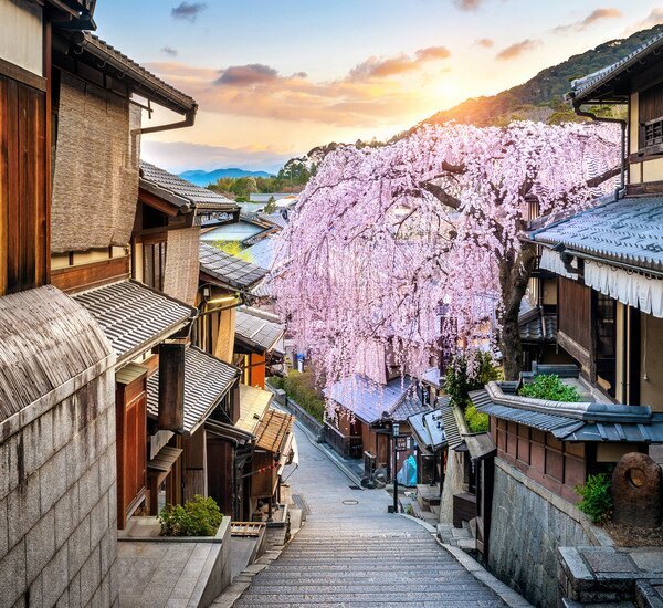 Osaka Weather in January - Weather, Travel Tips and Places to Visit