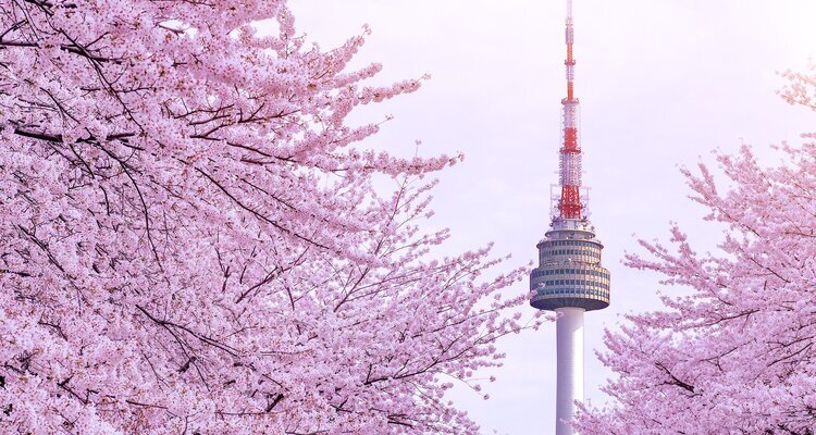 South Korea Weather in March 2025: Travel Tips for First-Timers