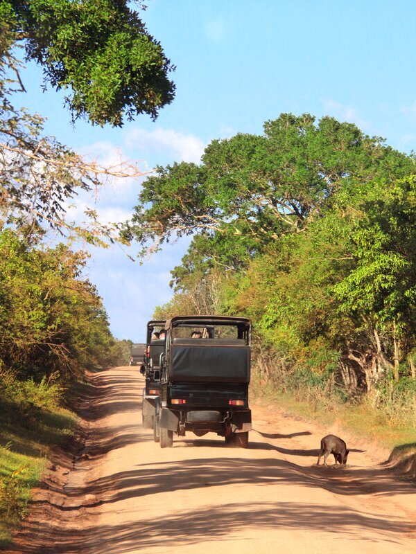 Global Highlights Clients' Favorite Itineraries