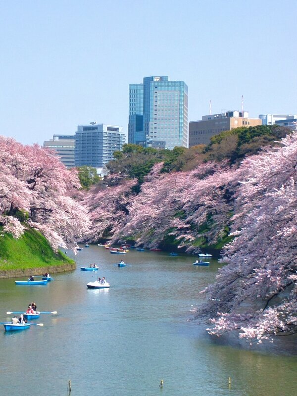 Visit Tokyo: Your Complete Travel Guide | Asia Highlights